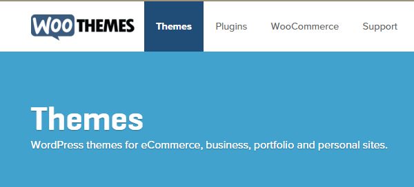 Guide and Tools to Choose the Best WordPress Theme