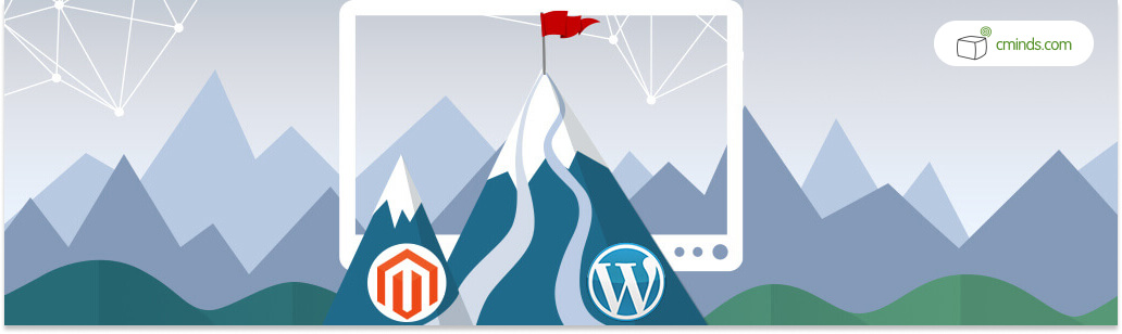 Best Practices For Integrating Wordpress And Magento In 2022
